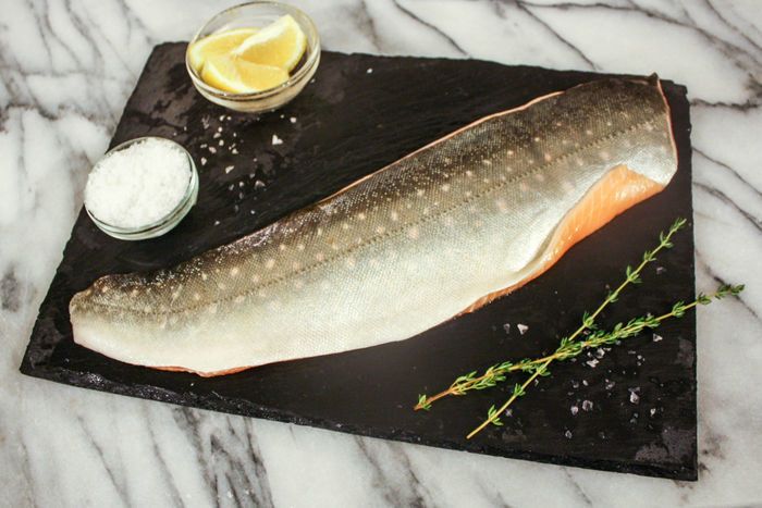 Arctic Char Filet | Greenpoint Fish and Lobster Company